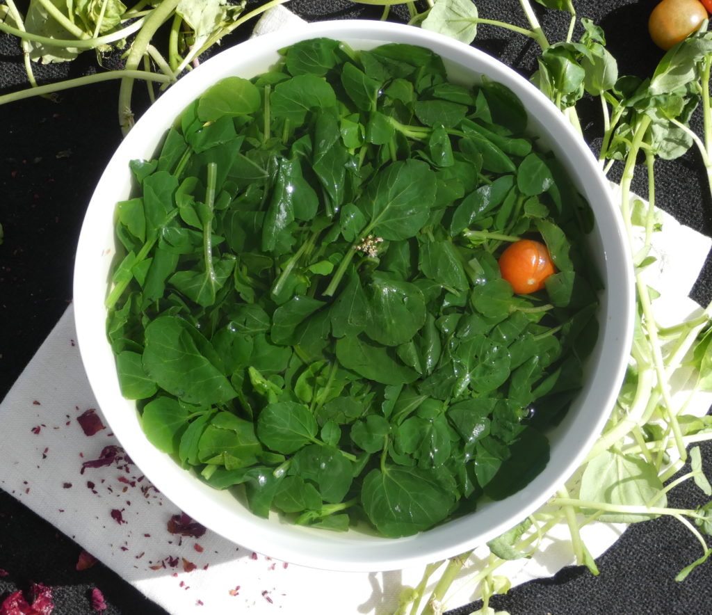 Plats mahorais – matavy