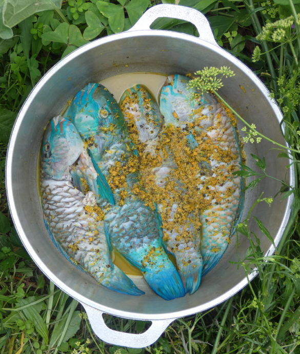 Plats mahorais – matavy