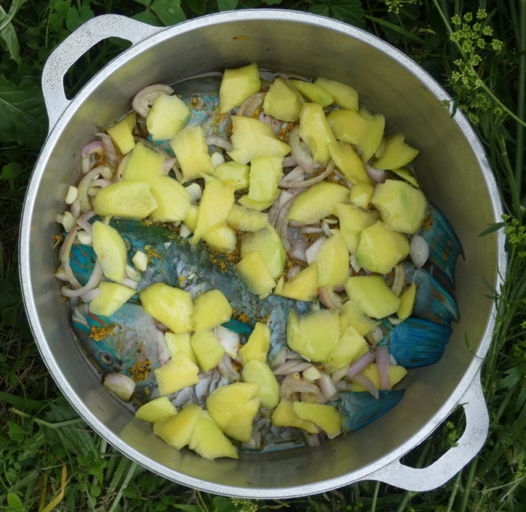 Poissons-perroquets - matavy