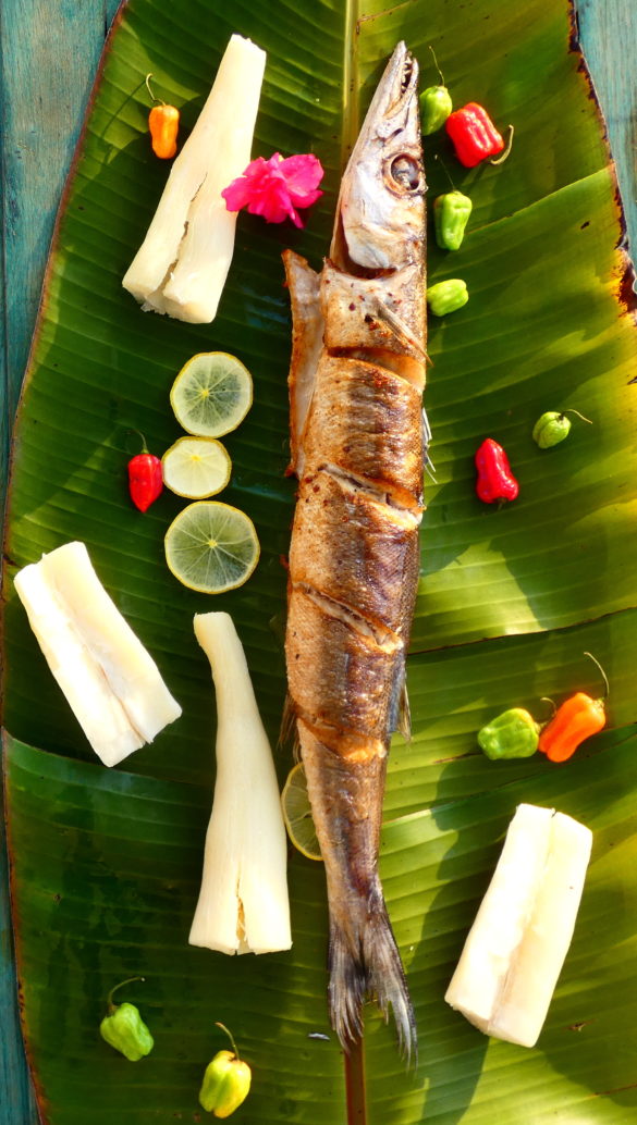 Barracuda frit - matavy