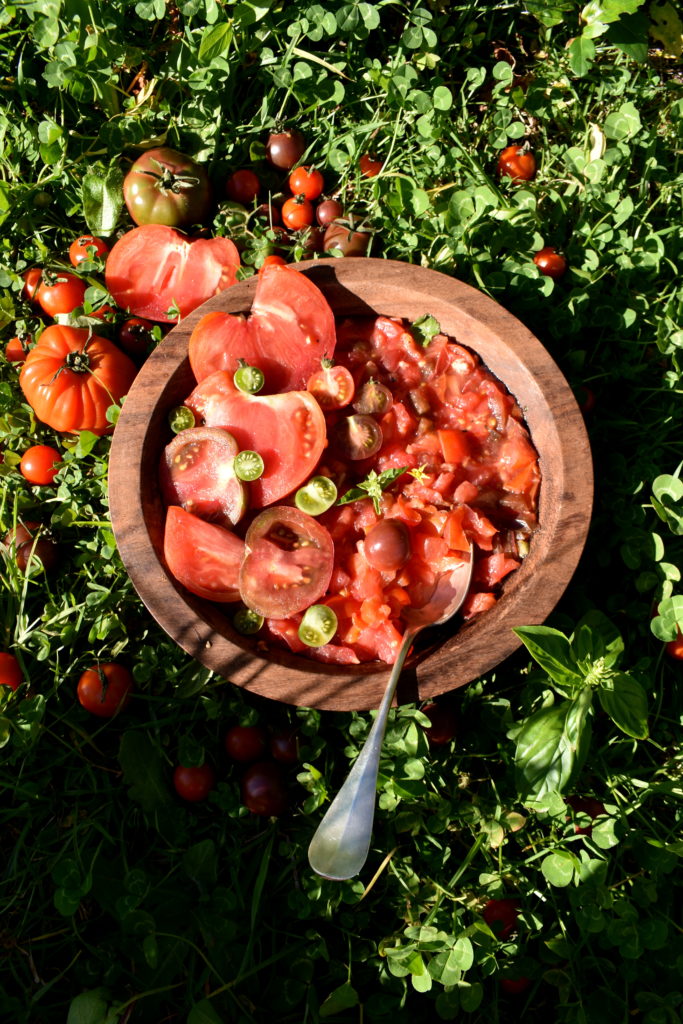 Rougail de tomates - matavy